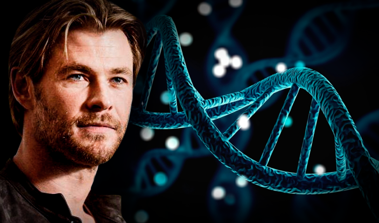 What Is The APOE4 Gene And Why Does Having It Increase The Risk Of What Is The APOE4 Gene And Why Does Having It Increase The Risk Of