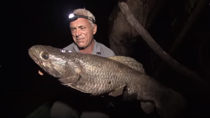 Monstruos Del Río Pez Lobo