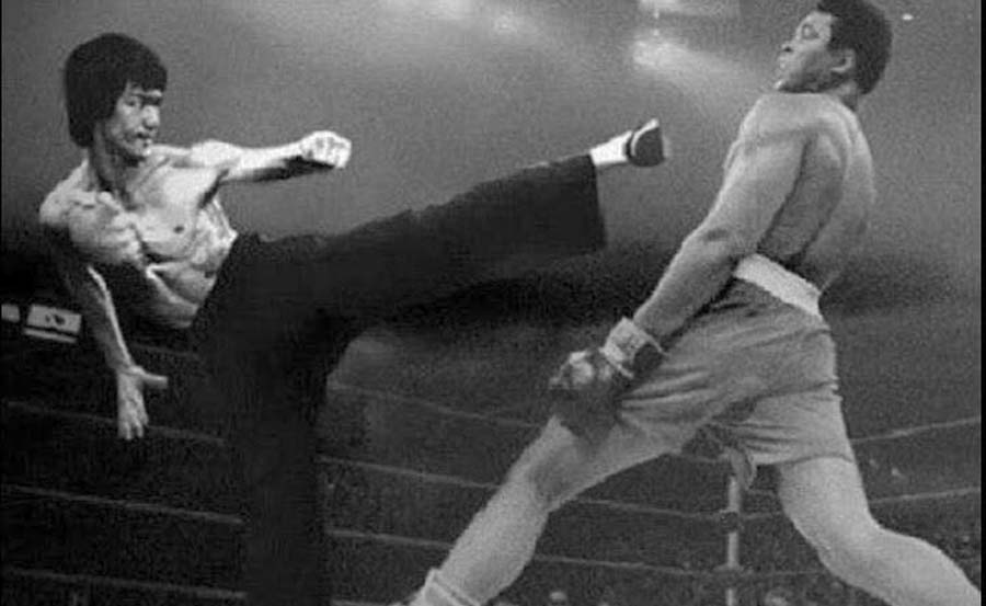 Patada Bruce Lee | atelier-yuwa.ciao.jp