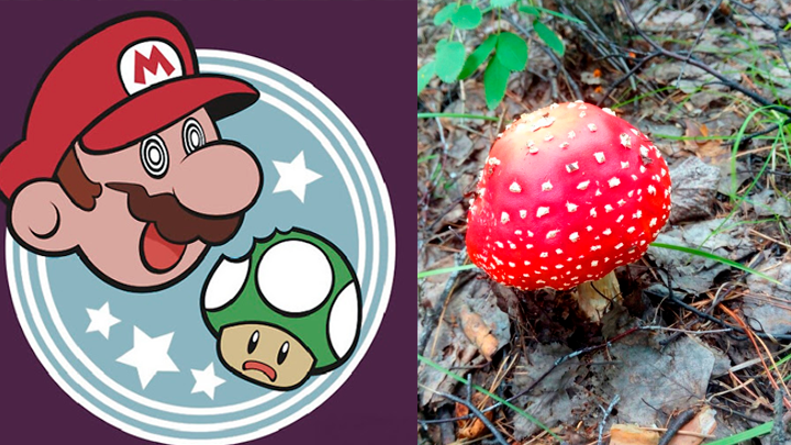 Drogas Super Mario Hongo Super Mario Bros Super Mushroom Icon Light