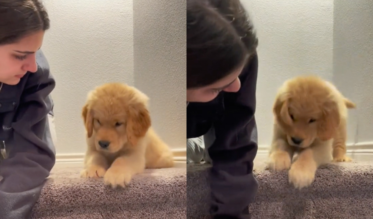 “Bicho”, obra teatral que encierra una historia original y no tan ...