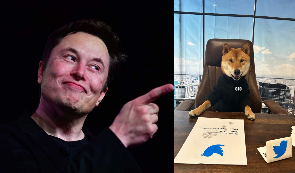 ¿Elon Musk halló un nuevo CEO para Twitter? Millonario bromea y muestra ...