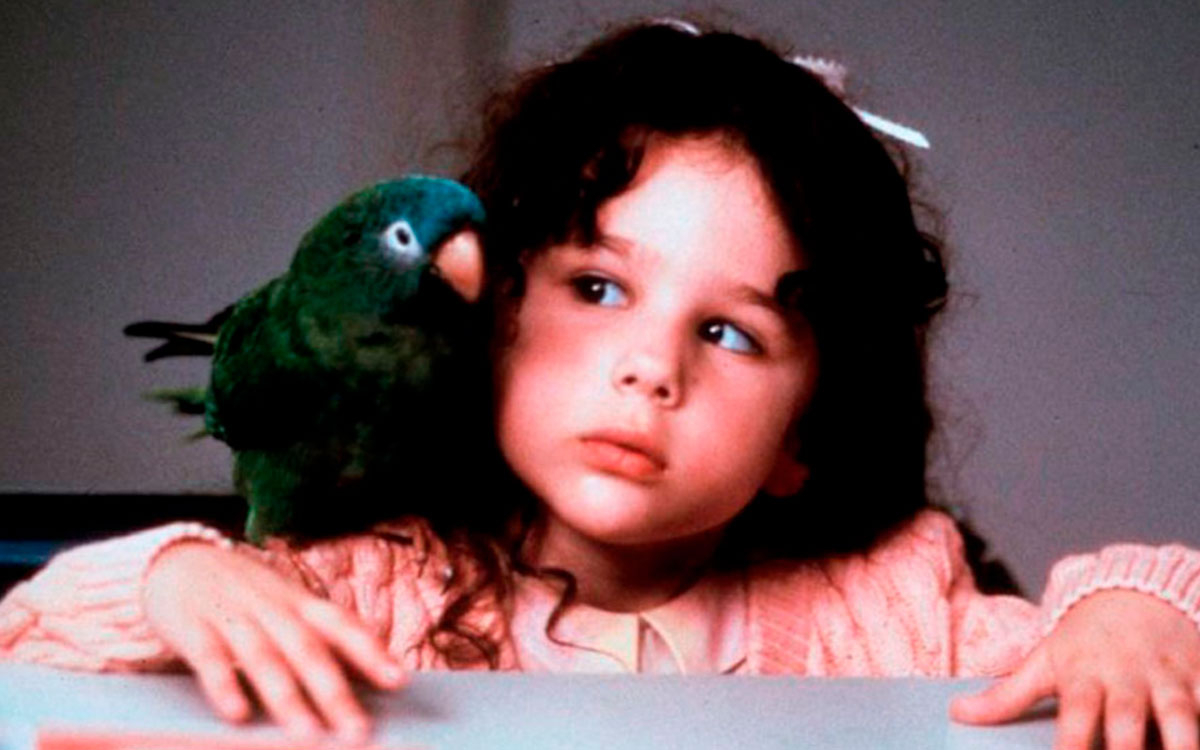 Hallie Kate Eisenberg Paulie