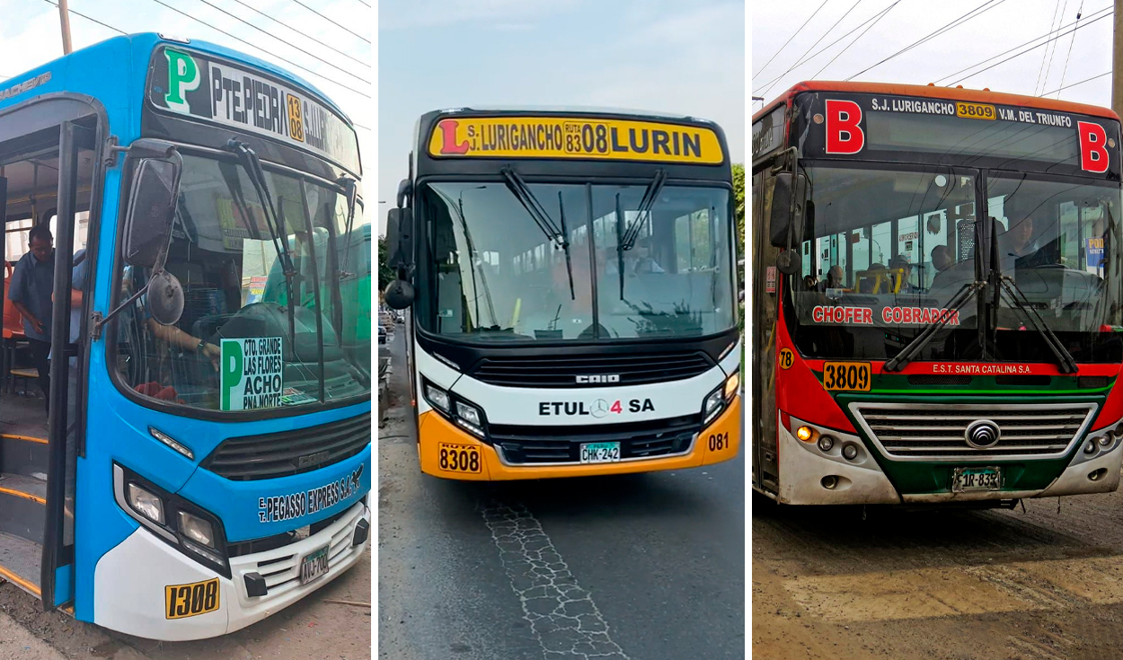 Horarios De Autobuses De Los Distritos De Palermo Guía De Palermo
