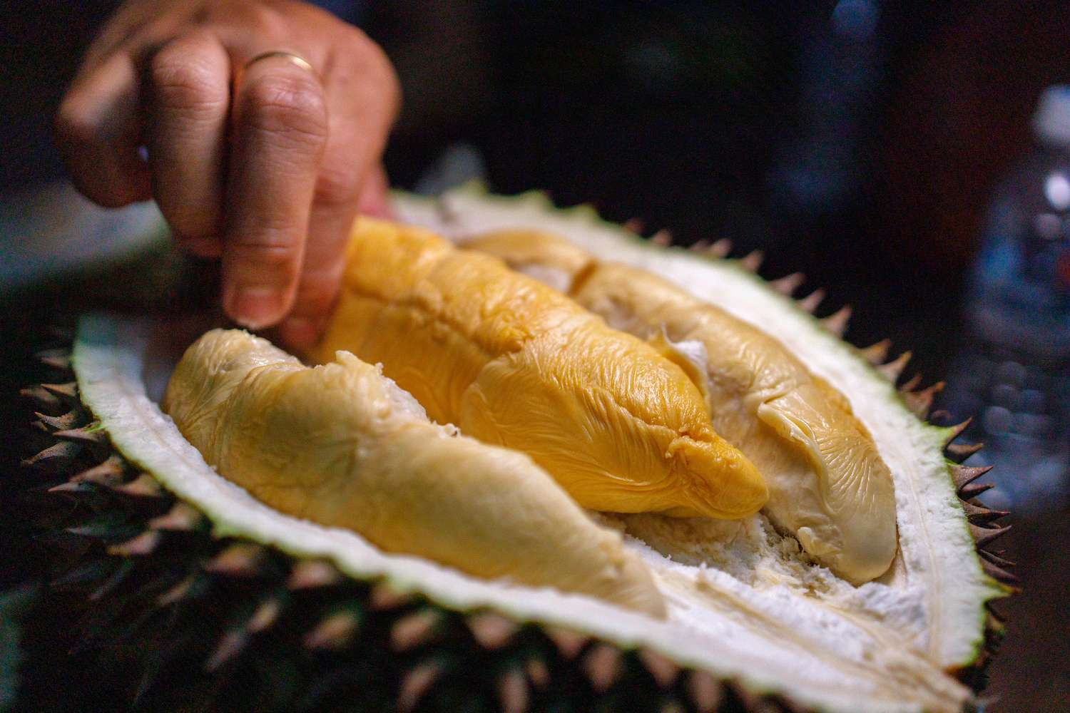 La Fruta Más Apestosa Del Mundo