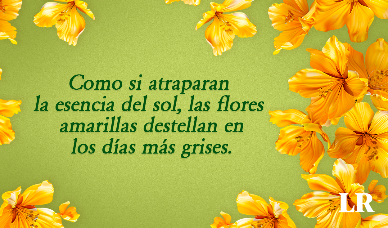 Mensajes Con Imagenes De Flores Mensajes De Amor Con Rosa Roja
