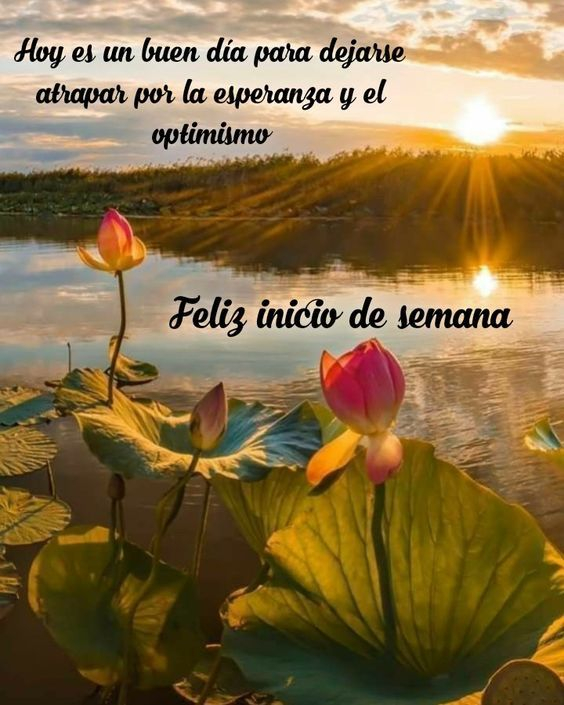 Feliz Lunes Imágenes De Flores