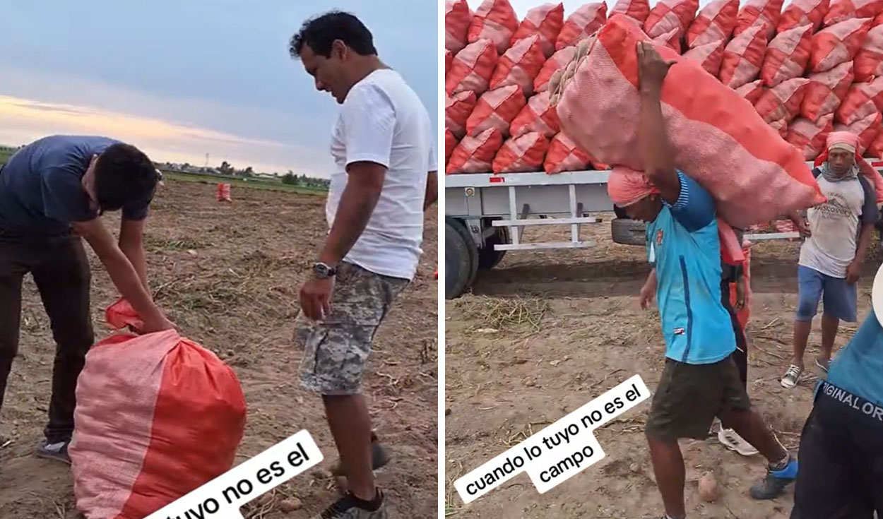Memes De Estibadores Peruano Intenta Cargar Un Saco De Papas Y El